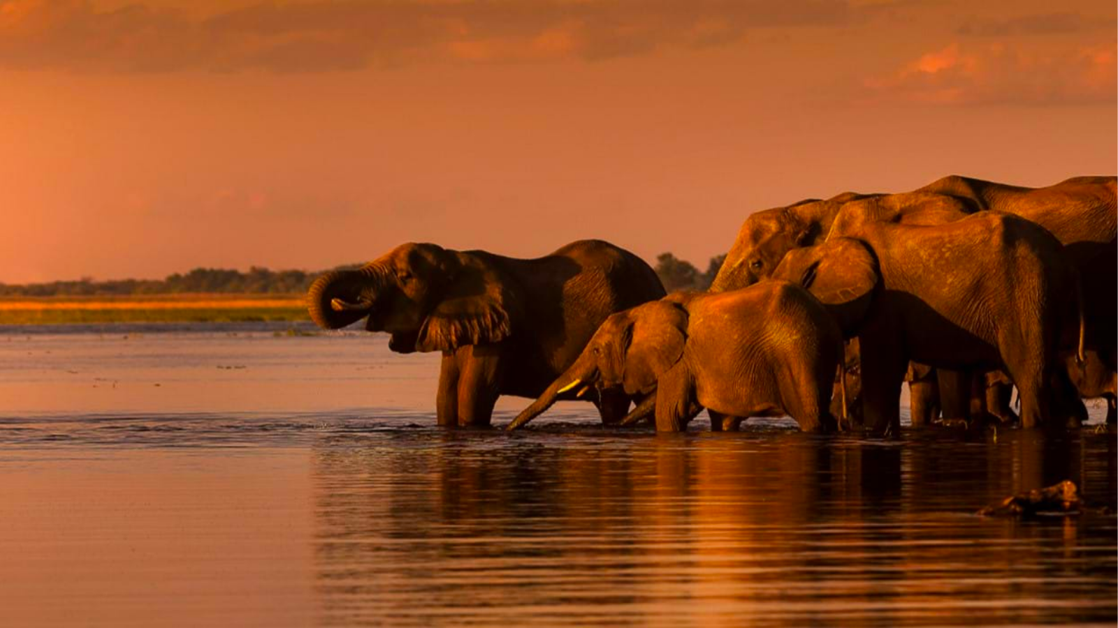 Safari in South Africa | Sebatana Rhino Lodge | Newmarket Holidays